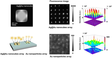 Revealing the correlation between the size, structure, and fluorescence ...