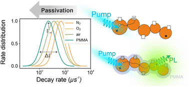 Interplay between connectivity and passivating agents in perovskite ...