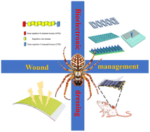 Artificial spidroin bioelectronic dressings for intelligent wound ...