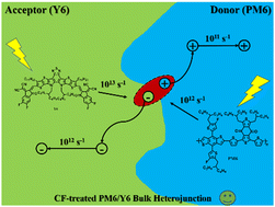 Impact of solvent processing on the PM6/Y6 morphology and charge ...