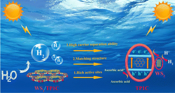 Rational design of dimensionally matched 2D/2D COF based photocatalysts ...
