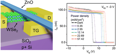 Photovoltage junction memtransistor for optoelectronic in-memory ...