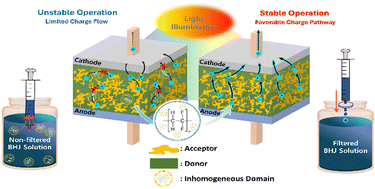 Homogeneous bulk heterojunction domains with continuous charge pathway ...