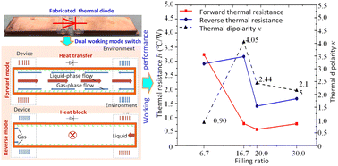 Unidirectional heat and fluid transfer performances of a thermal diode ...