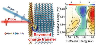 Reversed charge transfer in a type I MoS2/PtSe2 heterostructure probed ...