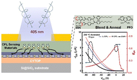 High-performance circularly polarized photodetectors based on chiral ...