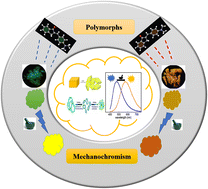 Polymorphism in mechanochromic luminogens: recent advances and ...