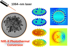 Enhancing near-infrared II photothermal conversion through anchoring ...