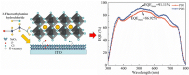 Defect passivation of SnO2 doped with 2-FN for high-performance ...