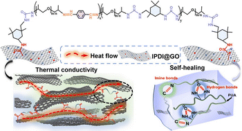 A polyurea interface structure with dual dynamic bonds endowing ...