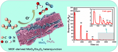 MOF-derived, carbon-mediated construction of a hierarchical rod-shaped ...