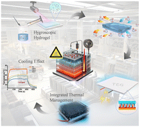 Waste-heat harvesting using a thermoelectric generator coupled with a ...