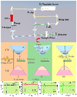 Broadband nonlinear optical response and ultrafast carrier dynamics in ...