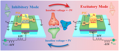 Dynamically reconfigurable artificial synapse transistors with organic ...