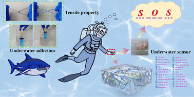 Ultra-high stretchable hydrogels with wet adhesion properties as ...