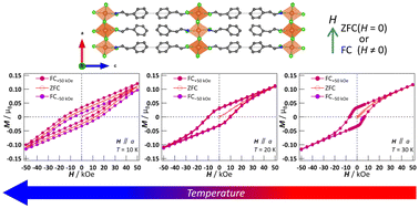 Coupling between ferroelasticity and magnetization in two-dimensional ...