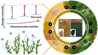 Electrochromic fabrics with improved cycling stability via modified ...