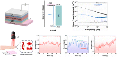 High detectivity ternary near-infrared organic photodetectors based on ...