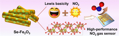 Selenium-doped hematite (α-Fe2O3) hollow nanorods for highly sensitive ...