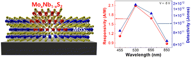 Enhanced photoresponse in 2D seamless metal–semiconductor contact ...