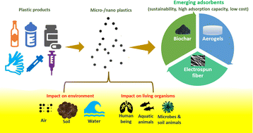 Exploring sustainable adsorbents to mitigate micro-/nano-plastic ...