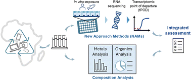 Cytotoxic and molecular effects of soil extracts from the Agbogbloshie ...