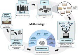 Machine learning application in municipal wastewater treatment to ...