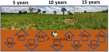 Ecotoxicity and chemical characterization of tropical soil under ...