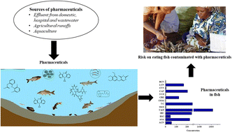 Occurrence and distribution of selected pharmaceuticals in fresh fish ...