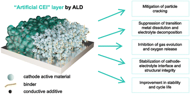 Impact of powder and electrode ALD coatings on the performance of ...