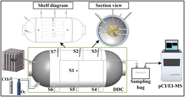 Rapid detection of multiple gas mixtures and evaluation of harmful gas ...