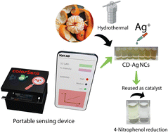 A smartphone-based portable device for Ag+ sensing using eco ...