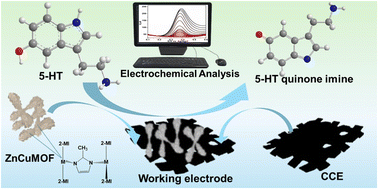 Fabrication of Zn–Cu bimetallic MOF-based flexible electrodes for ...