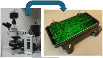 HIST-DIP: histogram thresholding and deep image priors assisted ...