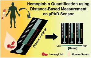 Cost-effective distance-based paper microfluidic sensor for hemoglobin ...