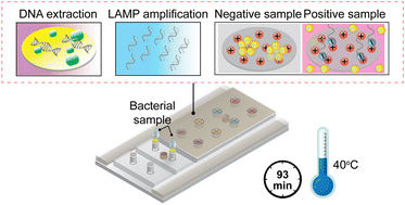 A LEGO®-inspired pipette-free approach for a fully-integrated molecular ...