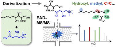 In-depth structural characterization of sphingoid bases via ...