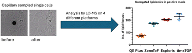 Single-cell lipidomics: performance evaluation across four liquid ...