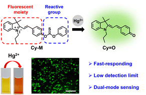 A fast-responding dual-mode probe for colorimetric and turn-on ...