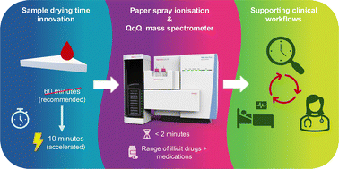Reduced drying times enable rapid paper spray analysis of whole blood ...