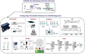 Emerging microfluidic technologies for CRISPR-based diagnostics: an overview - Analytical ...