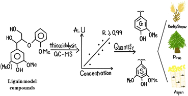 Utilization of phenolic lignin dimer models for the quantification of ...
