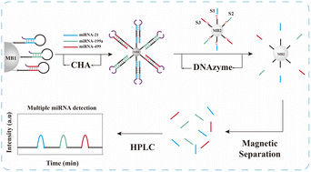 Inter-particle DNA walker amplification coupled with target self ...