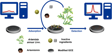 Study on a TCM evaluation method based on an MIP-modified MOF sensor ...
