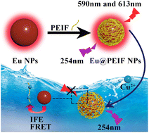 A label-free fluorescence sensing platform based on NaY0.47F4:Ce0.1,Gd0 ...