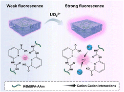 A cation-mediated fluorescence enhanced hydrogel for the sensitive ...