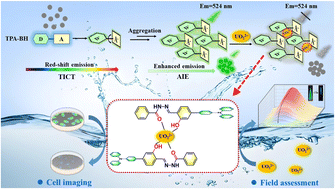 An ultrasensitive D–A fluorescent probe for dual-mode uranyl detection ...