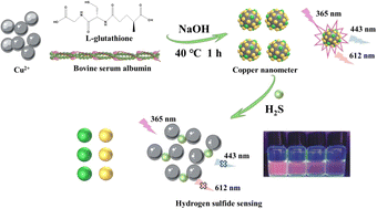 Dual-emission copper nanoclusters for hydrogen sulfide detection: a ...