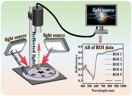 Nondestructive and rapid identification of stamp pad ink based on ...
