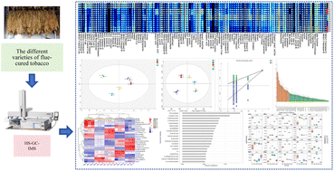 Deciphering the differences in aroma components of tobacco from ...